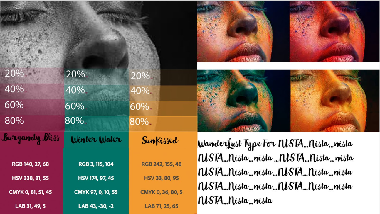 Nista Identity Guide – BKaizen